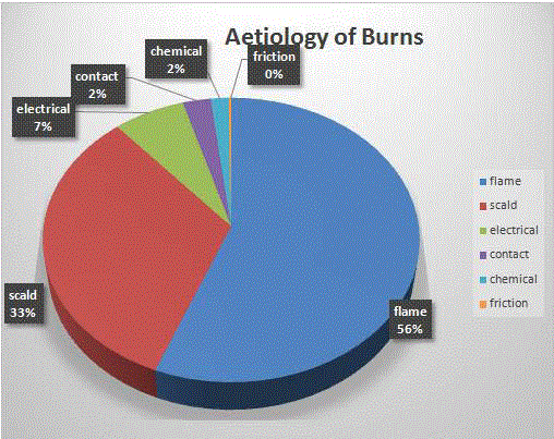 Burn Injury Patterns and Validation of the Abbreviated Burn Severity ...